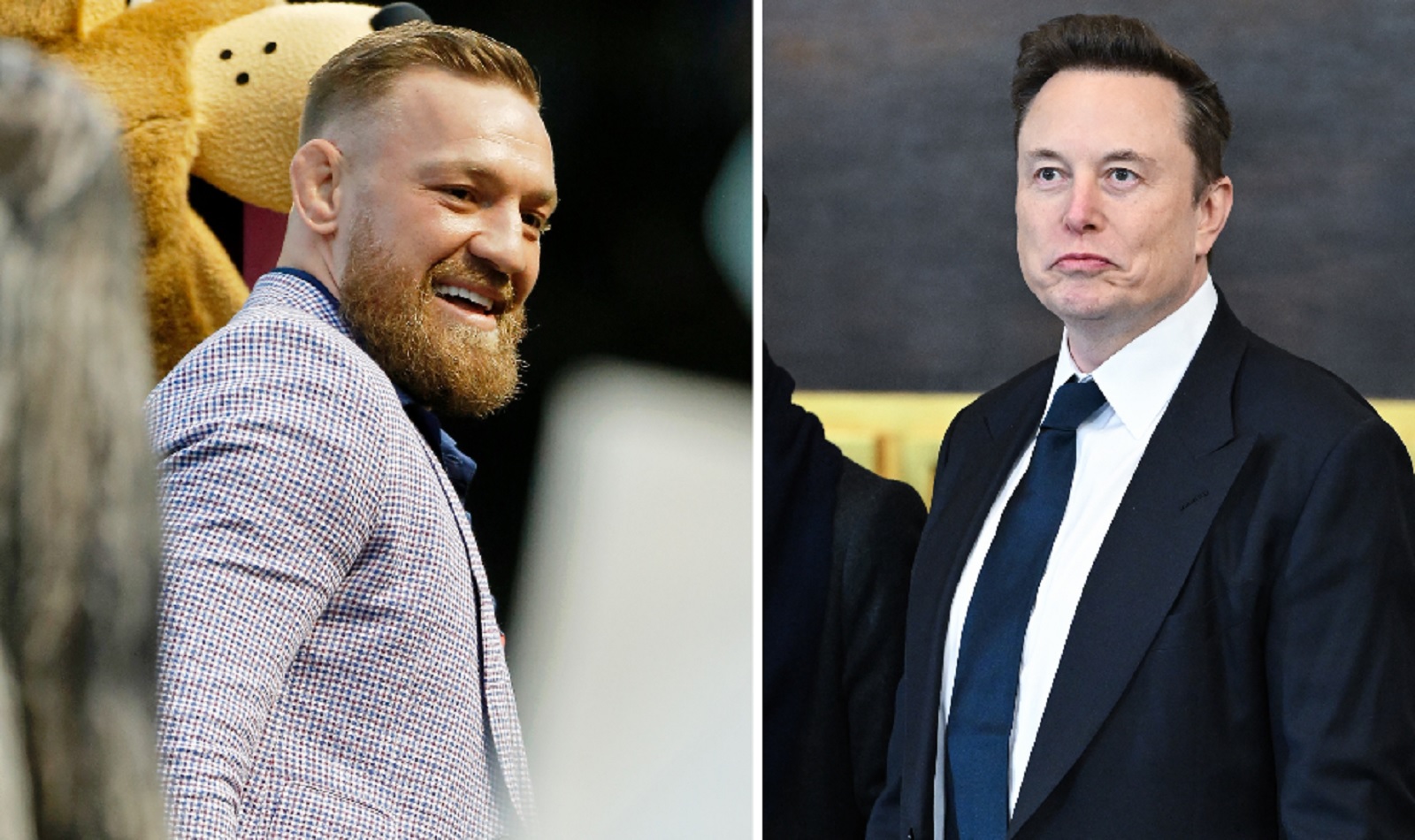Elon Musk Endorses Conor McGregor For President Of Ireland