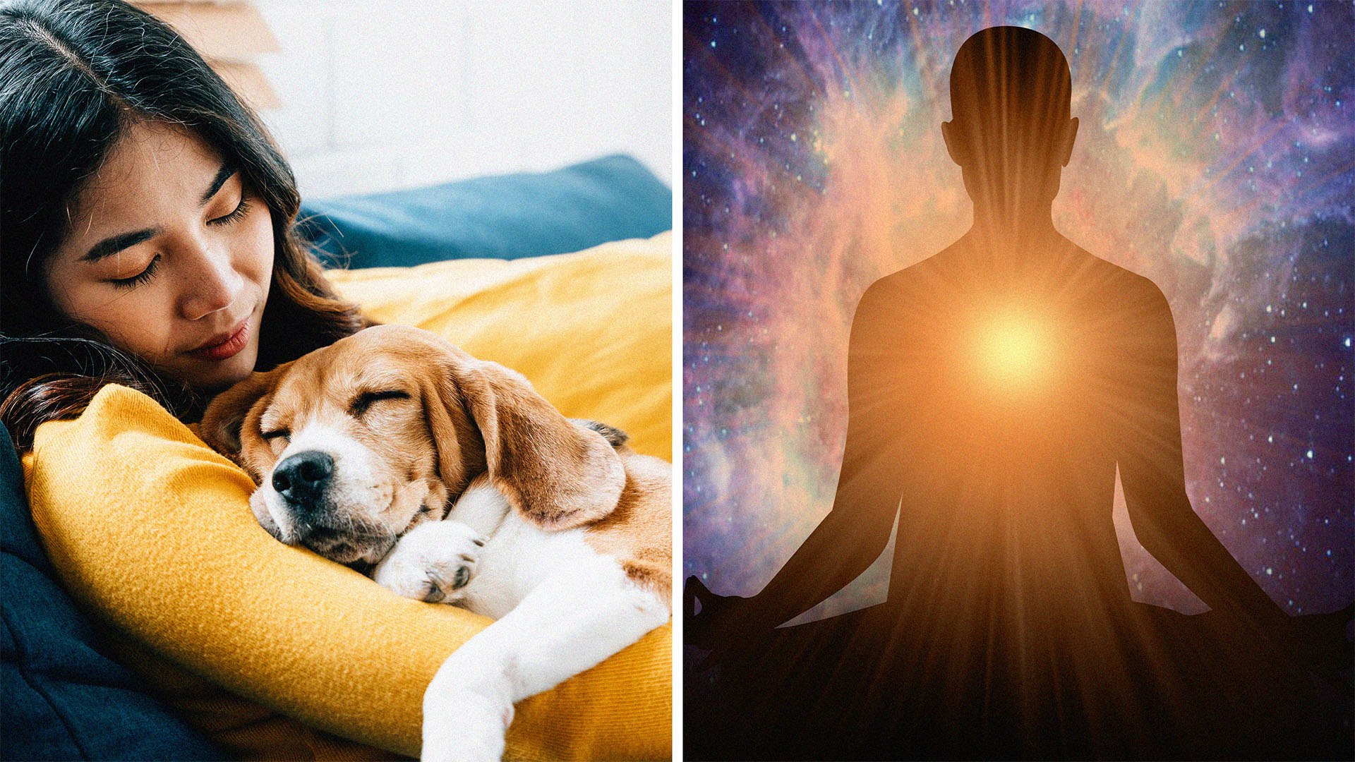 Is Edgar Cayce's Prophecy About Dogs Already Coming True?