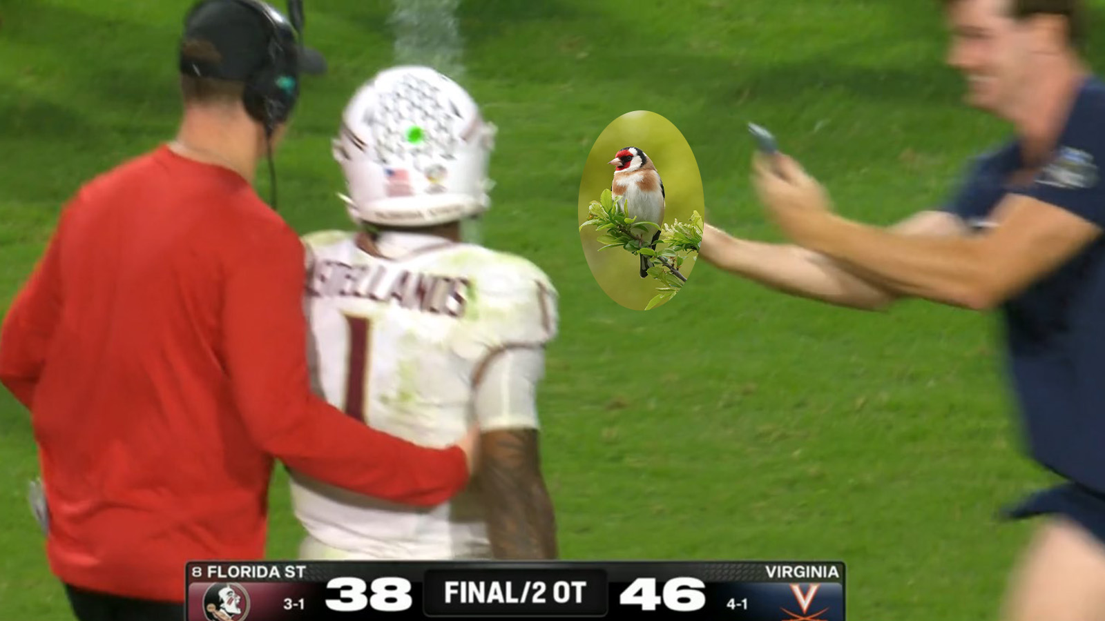 Virginia Fan Flips Off FSU QB Thomas Castellanos After Storming The Field