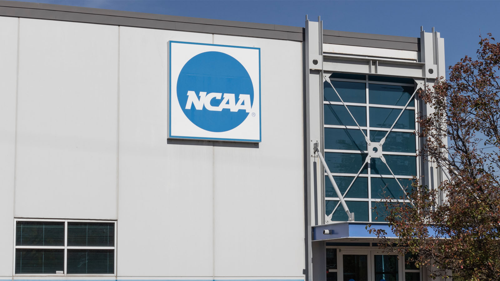 NCAA Accuses 13 Men's Basketball Players Of Betting Violations