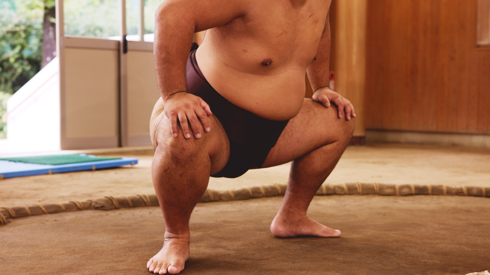 The 10 Heaviest Sumo Wrestlers Of All-Time