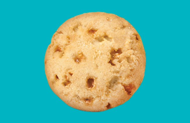All 10 Girl Scout Cookie Options Ranked From Worst To Best