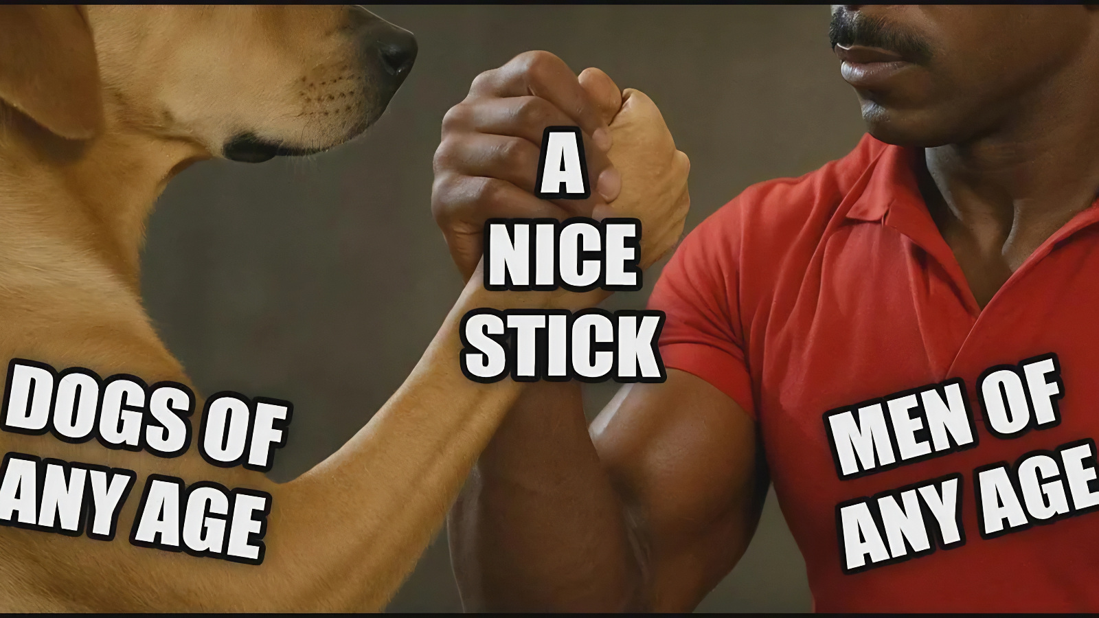 The Official 50 Best Memes This Week--Funniest Memes Today