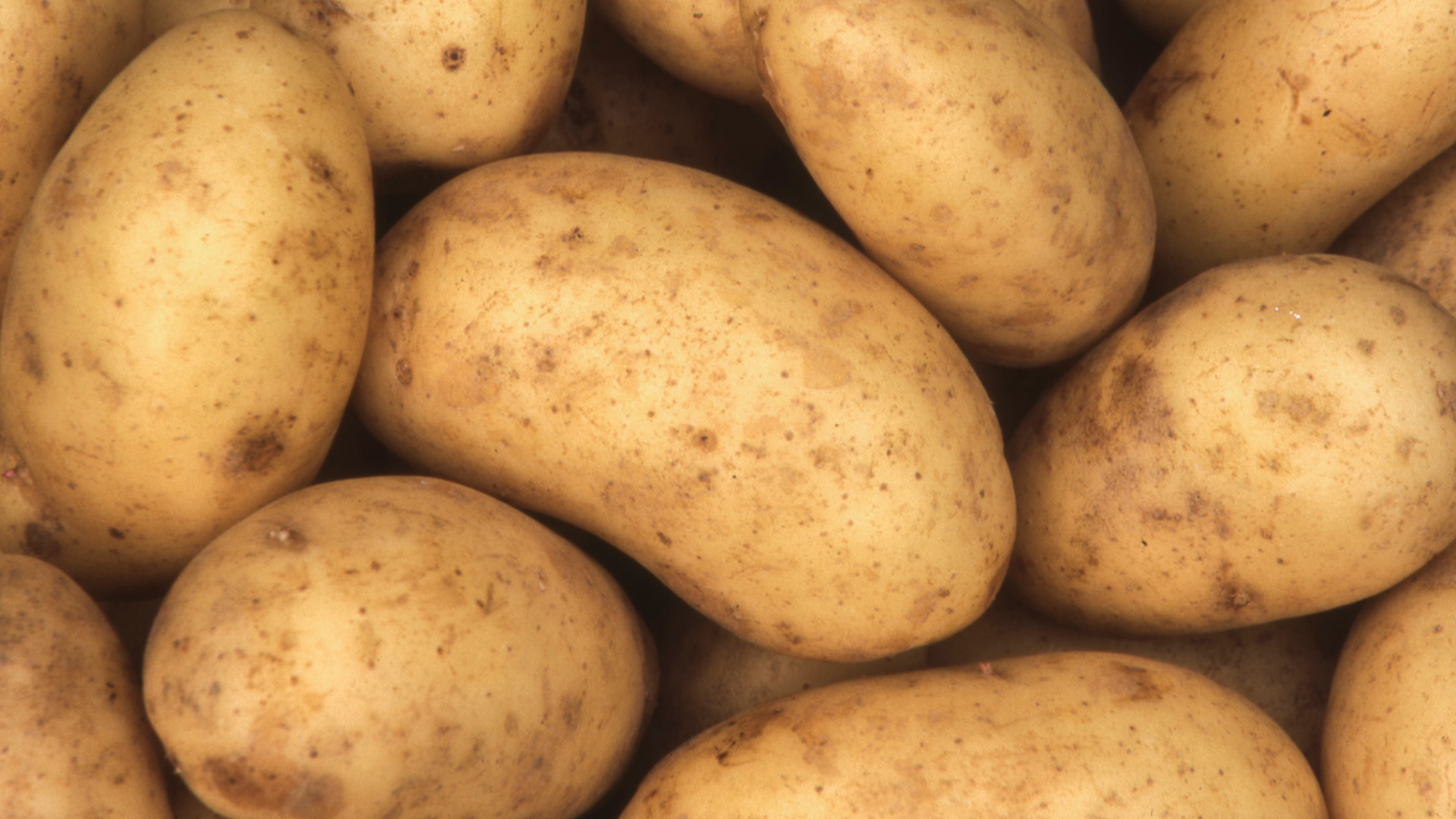 150 Tons Of Potatoes Stolen From Polish Distillery Over Rumor