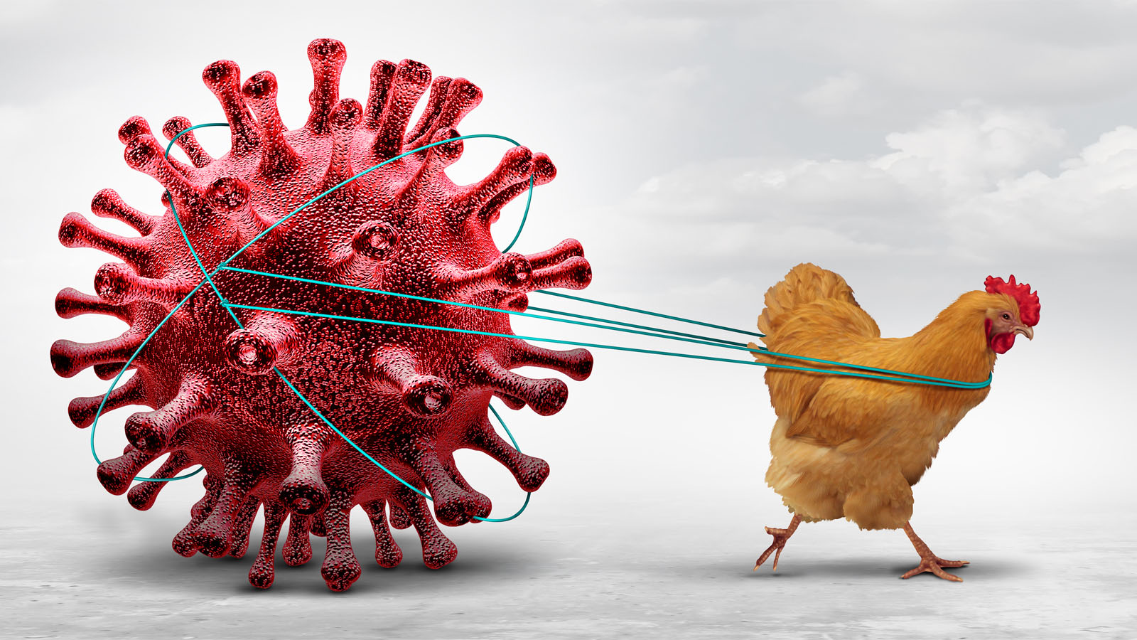 Person Infected With New Type Of Bird Flu Never Seen In Humans