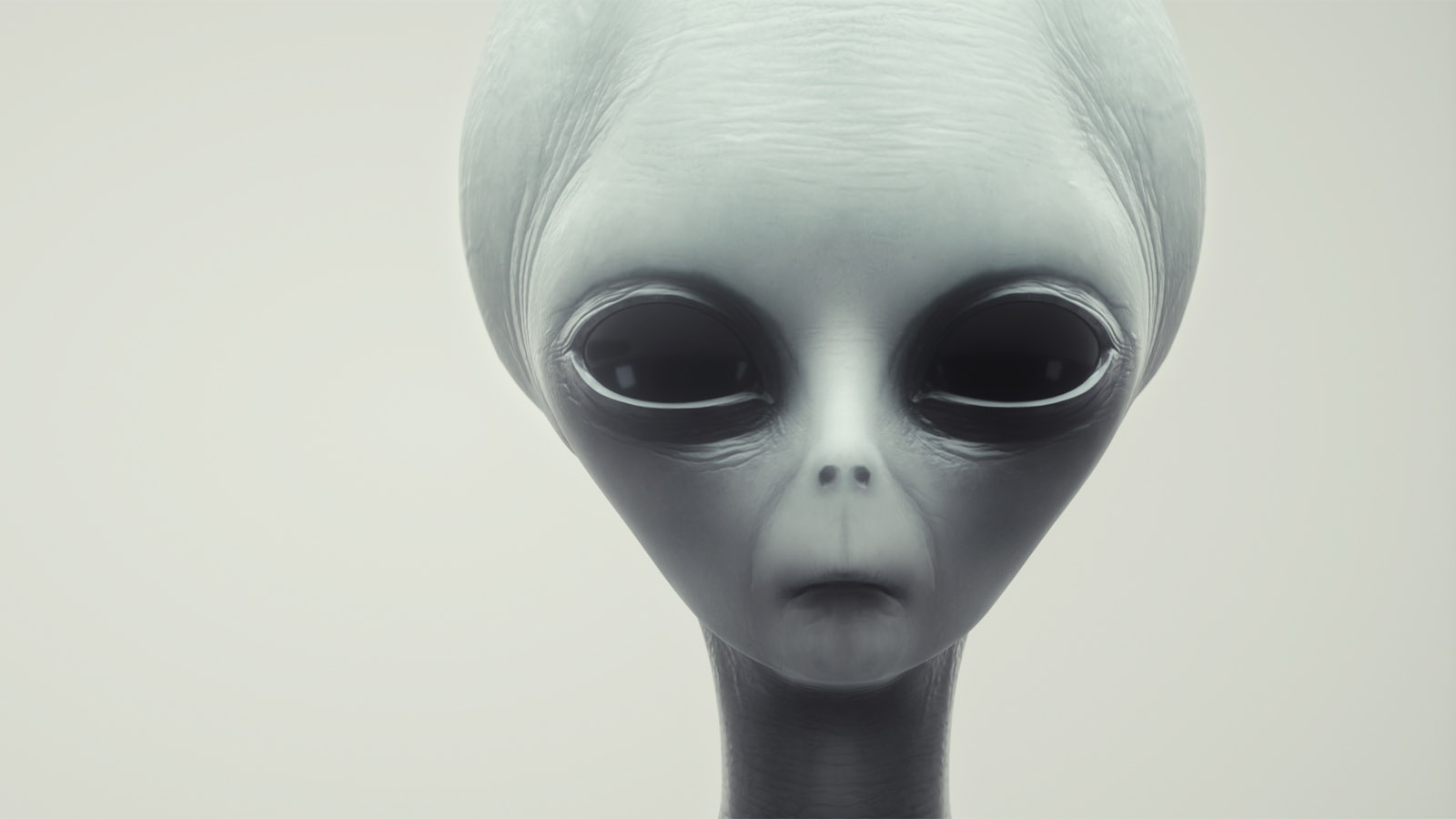 Neurosurgeon Describes Coming Face-To-Face With An Alien