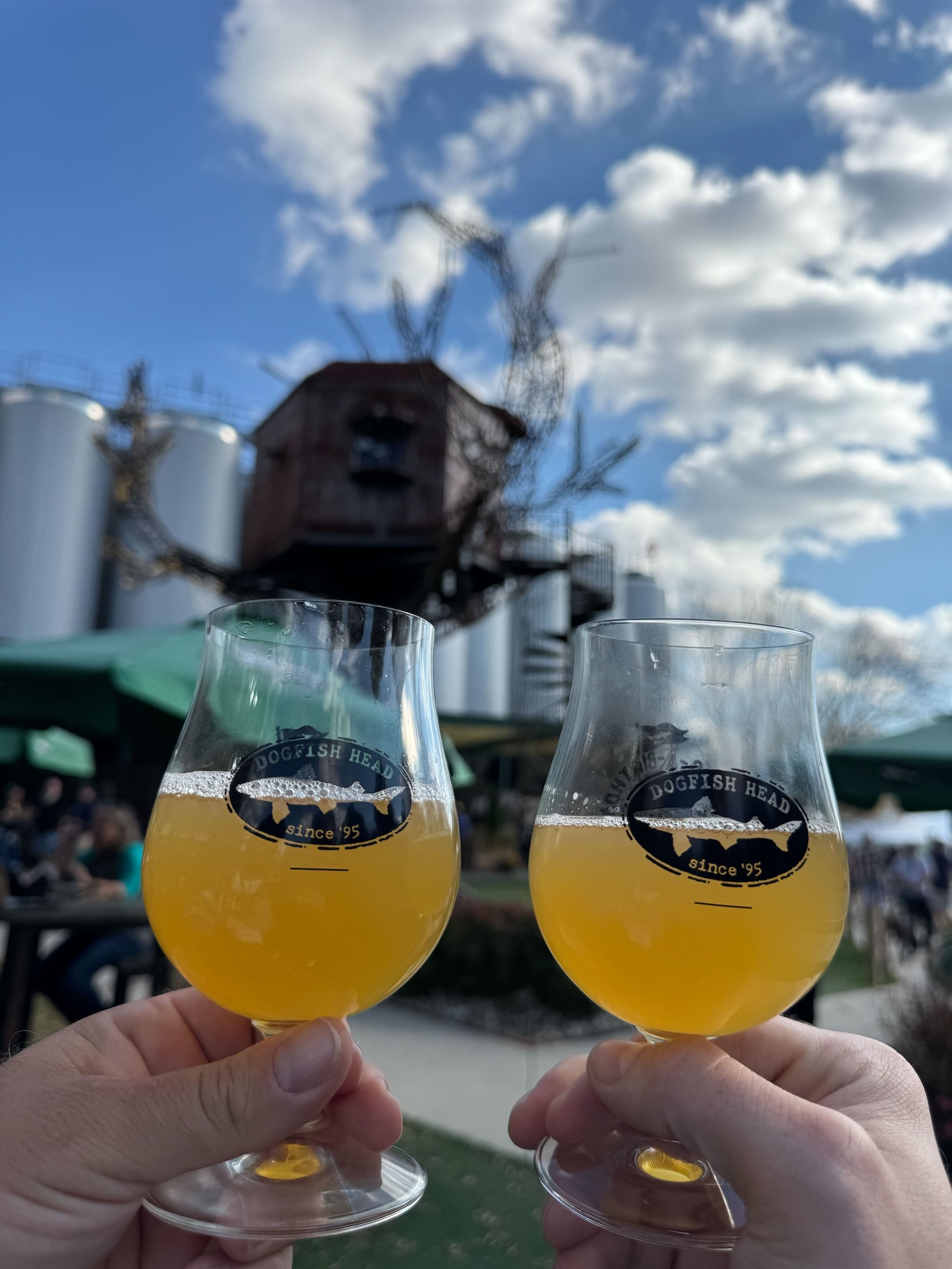 How Dogfish Head's Sam Calagione Built An Off-Centered Beer Empire On ...
