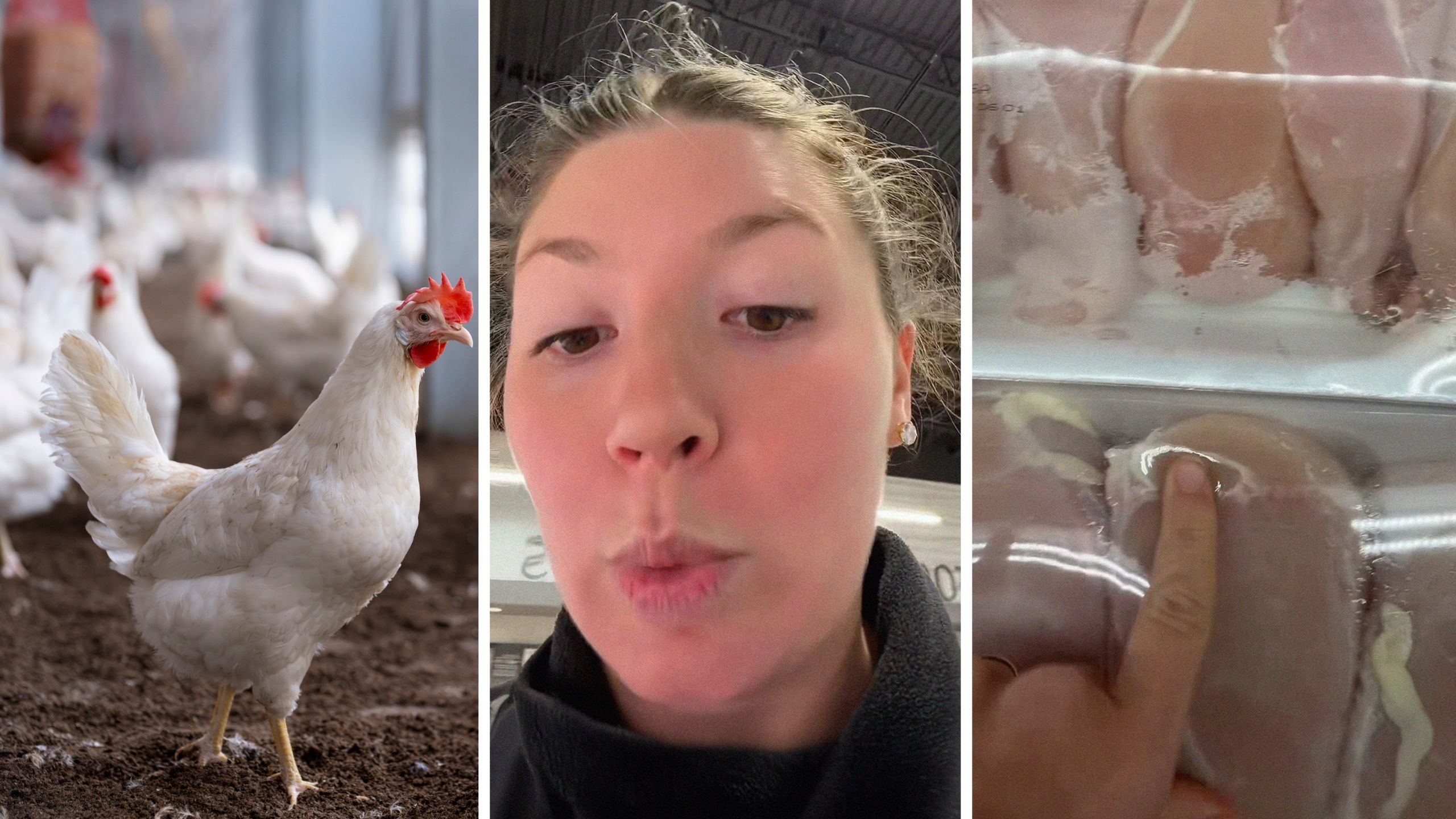 Ew, Why Is My Chicken Hard To Chew? Florida Chef Weighs In