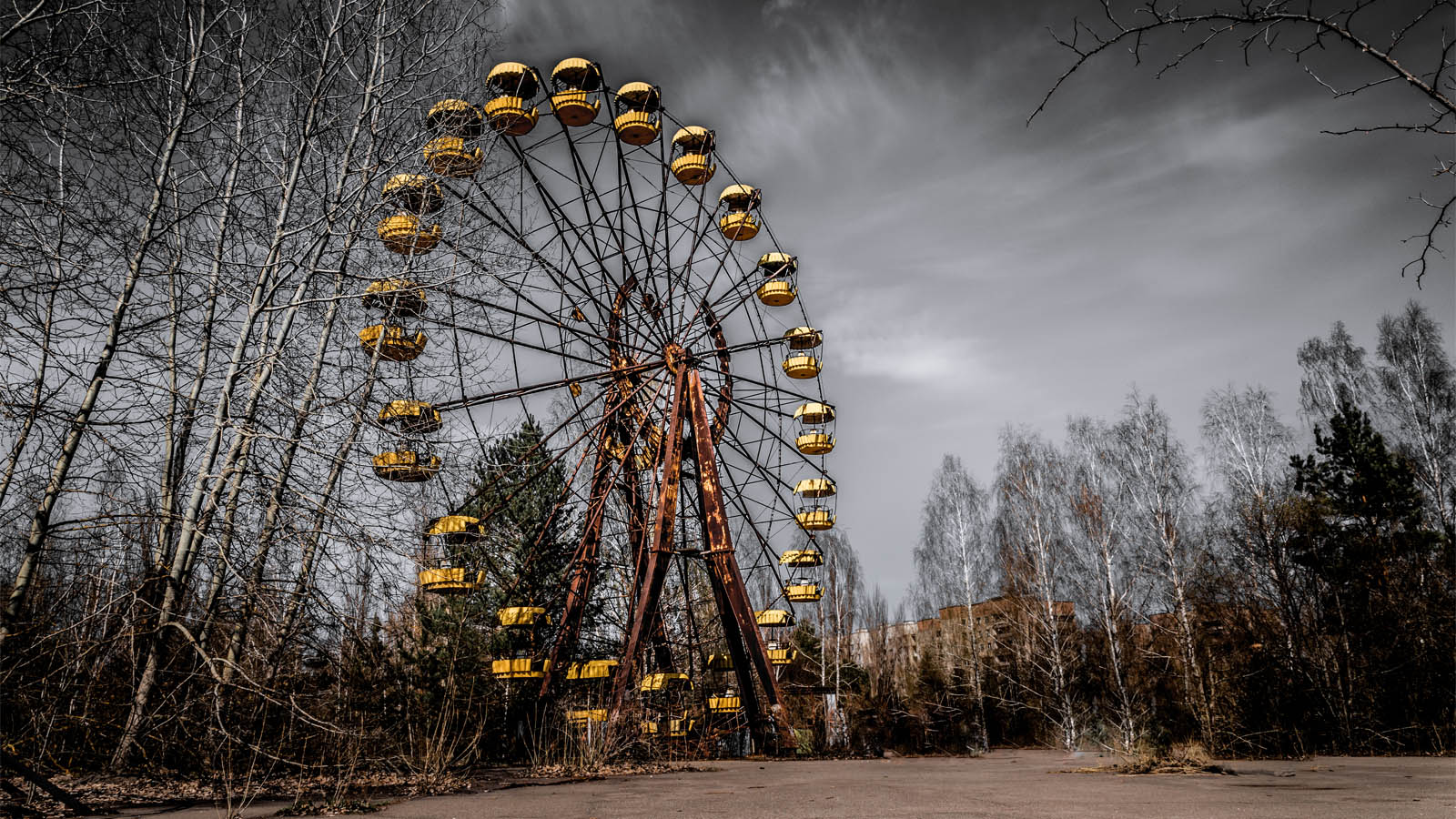 Fungus Inside Chernobyl Exclusion Zone Evolved A New Ability