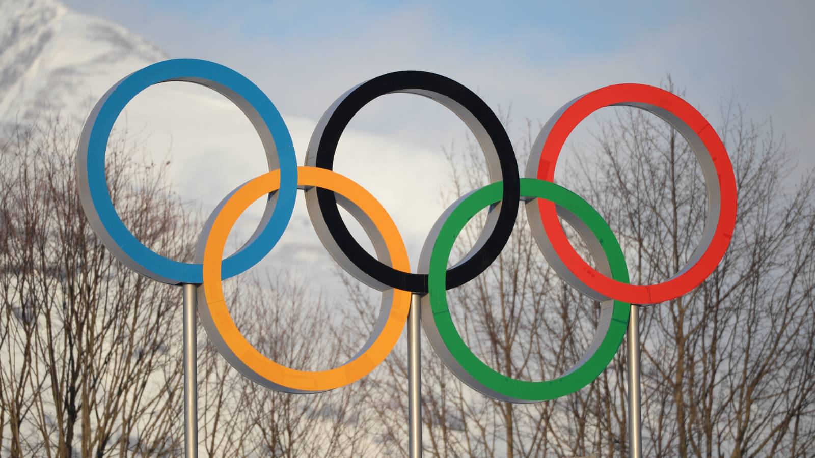 What Athletes Competed In The Most Winter Olympics?