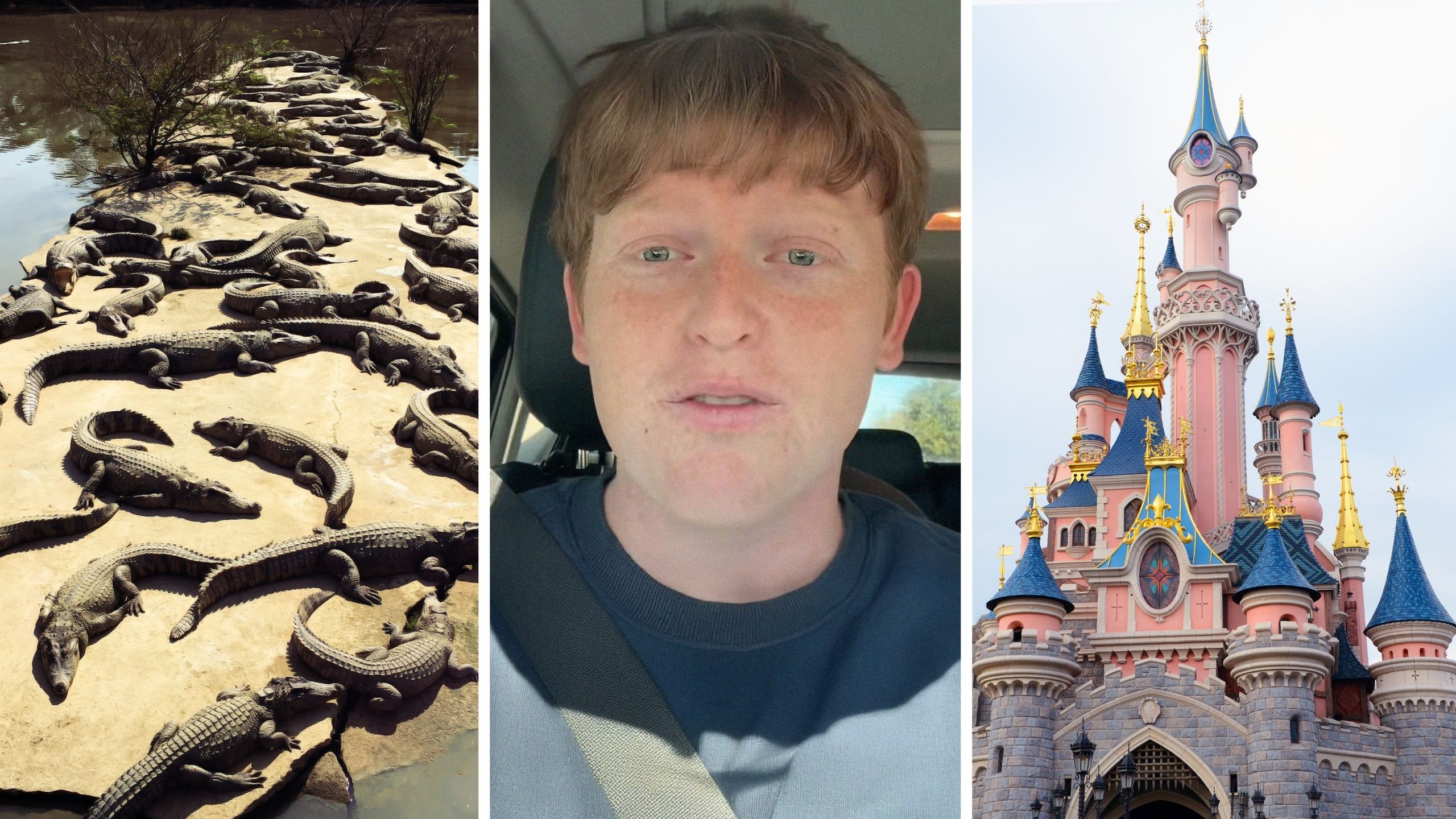 Disney: What Happens If A Guest Falls Into The Crocodile Pit?