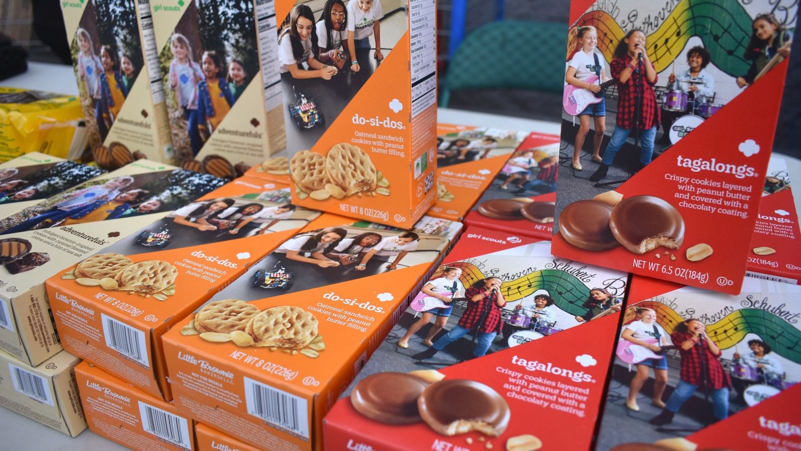 New Girl Scout Cookie Selling GOAT Emerges After Shattering Record