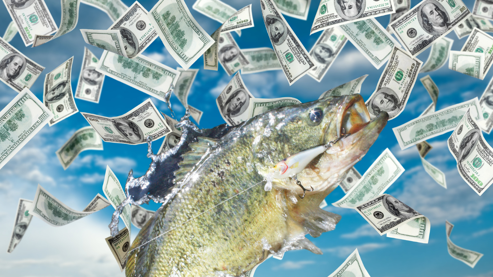 What Is 'The Champions' Bass Fishing Tournament All About?