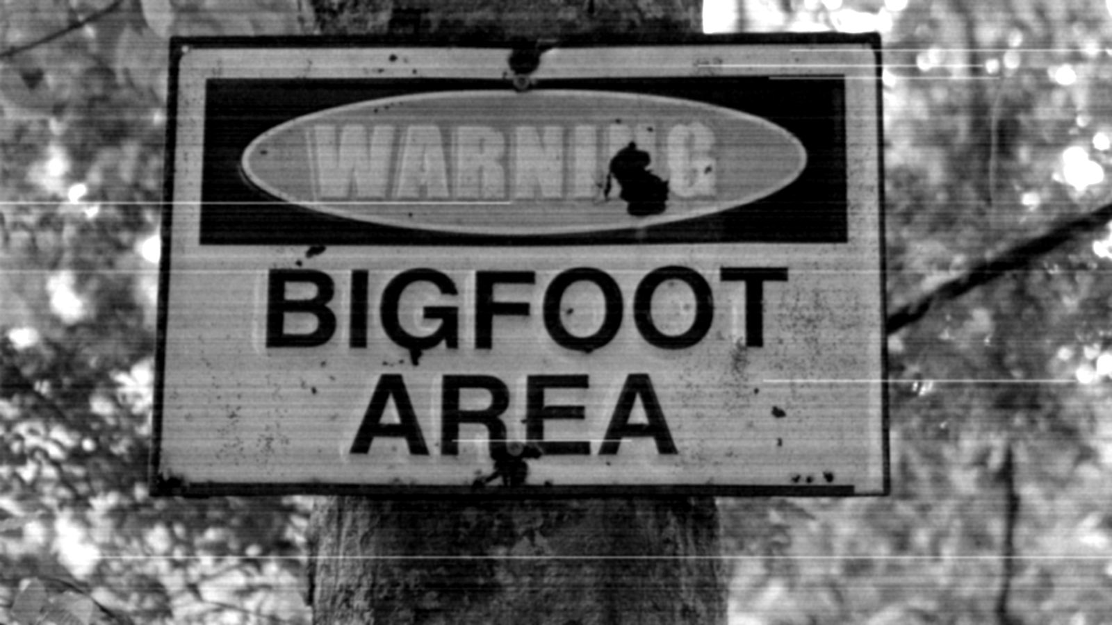 What Are People Saying About The Bigfoot Sightings In Ontario?