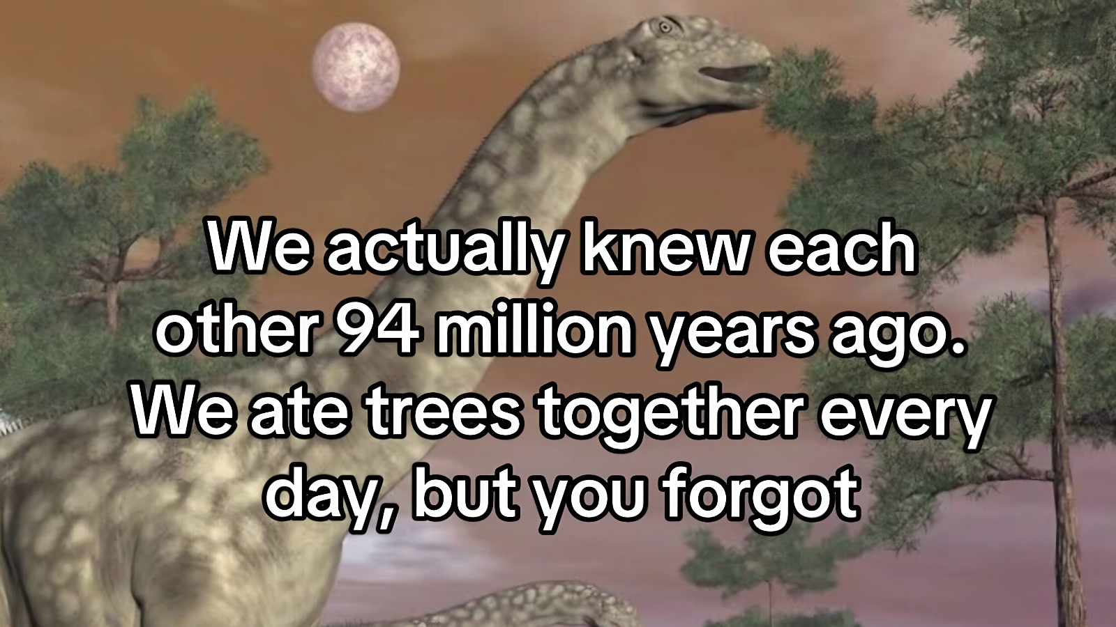 These Are The Internet's 51 Best Memes So Far This Week