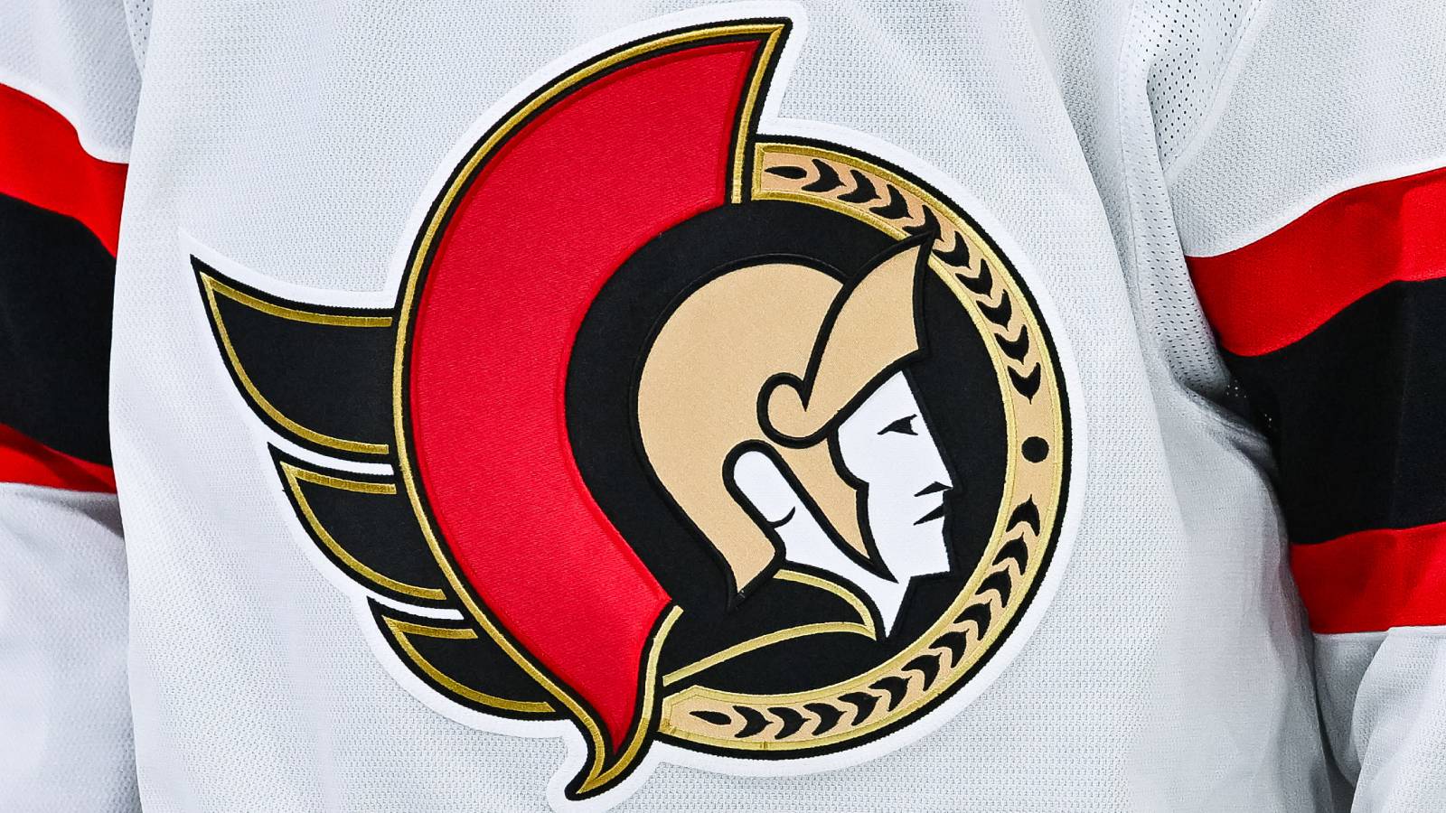 Why Did The Senators Send A Fan To Asia For The Playoffs?