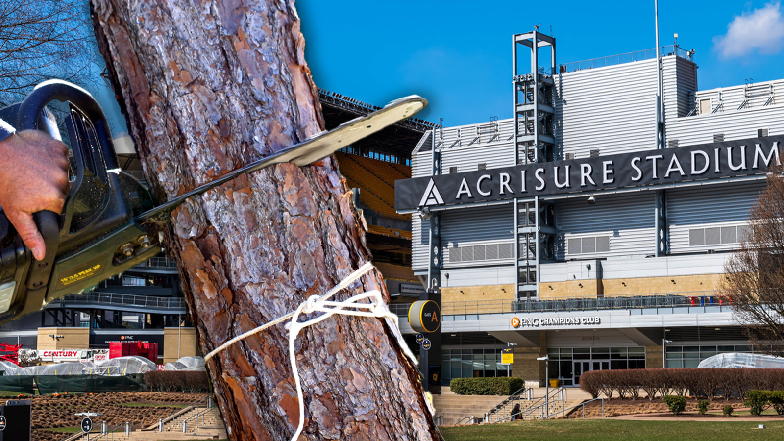 Why Pittsburgh Ripped 85 Trees Out Of The Ground For NFL Draft