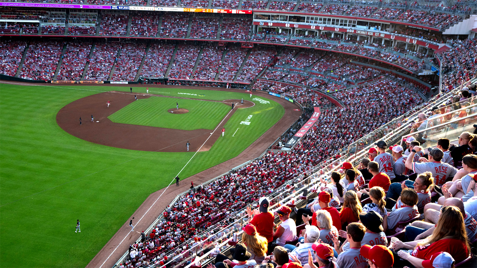 What Did Fan Say About Dangling Son Over Wall At Reds Game?